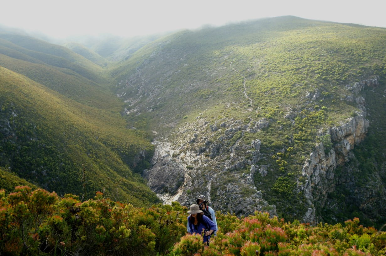 De Hoop Whale Trail | Hike | South Africa | Africansunroad.com